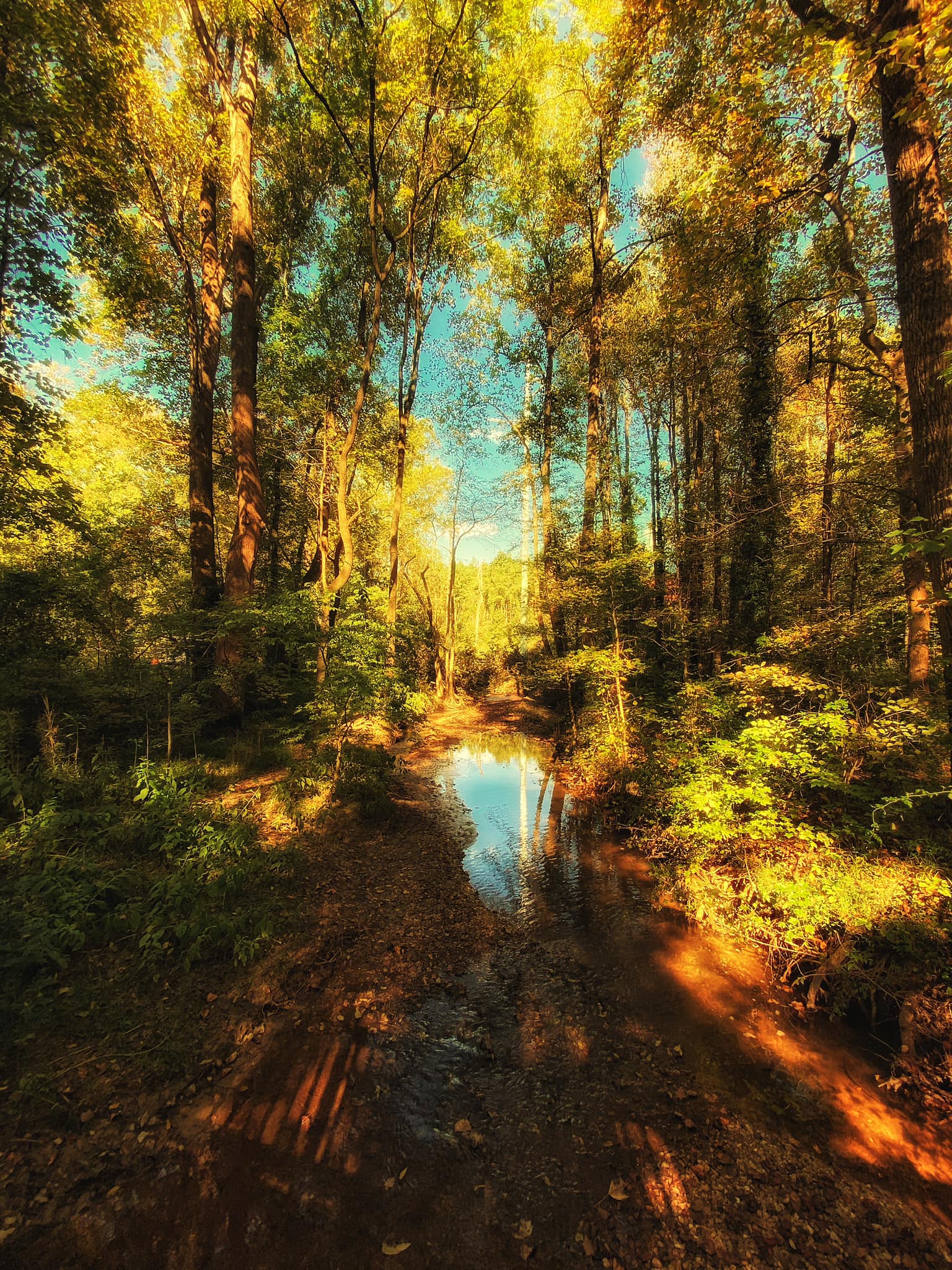 Forgotten Path – Kevin Allen Evans | Fine Art and Photography